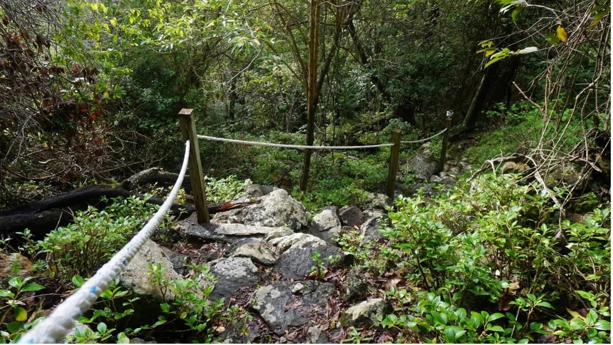 Openbaar Lichaam Sint Eustatius: Successful rescue operation at the ...